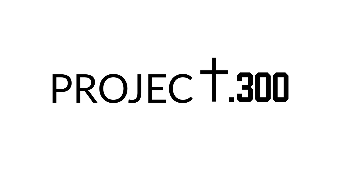 Products – The Project .300